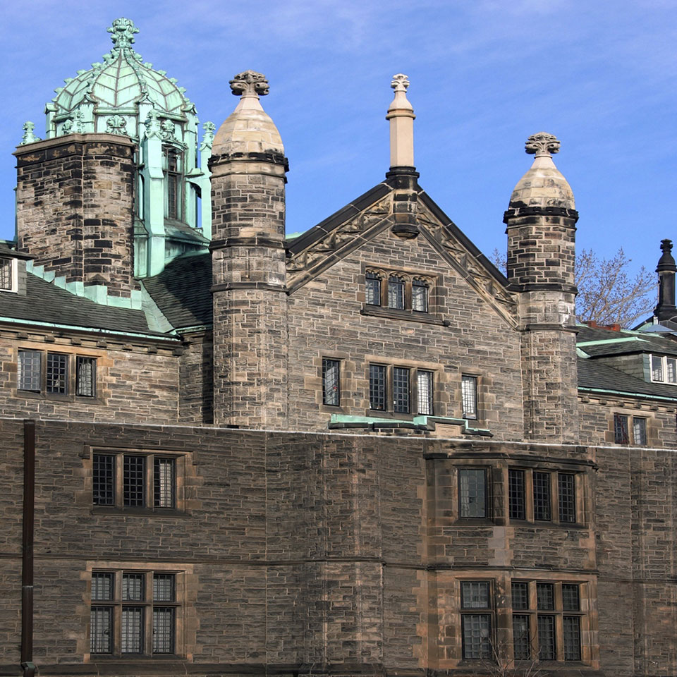 Commercial Window Film Project Gallery